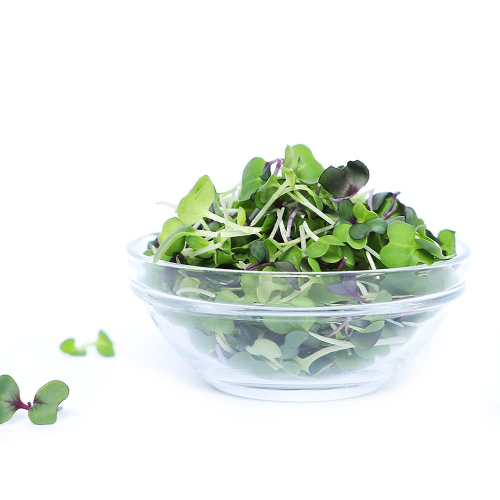 Flavorful AeroFarms Micro Super Mix Freshly Grown Indoors