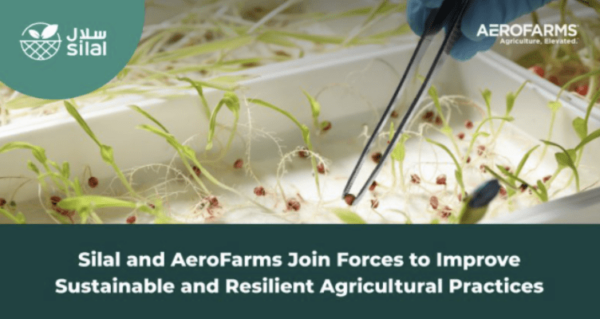 Silal + AeroFarms Collaborate - AeroFarms