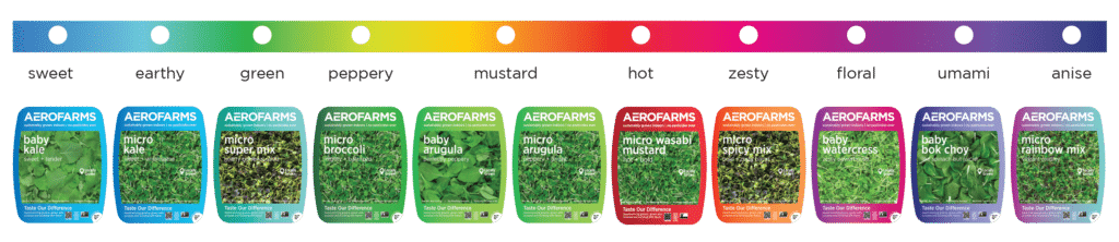 Why You Should Incorporate Microgreens In Your Daily Routine