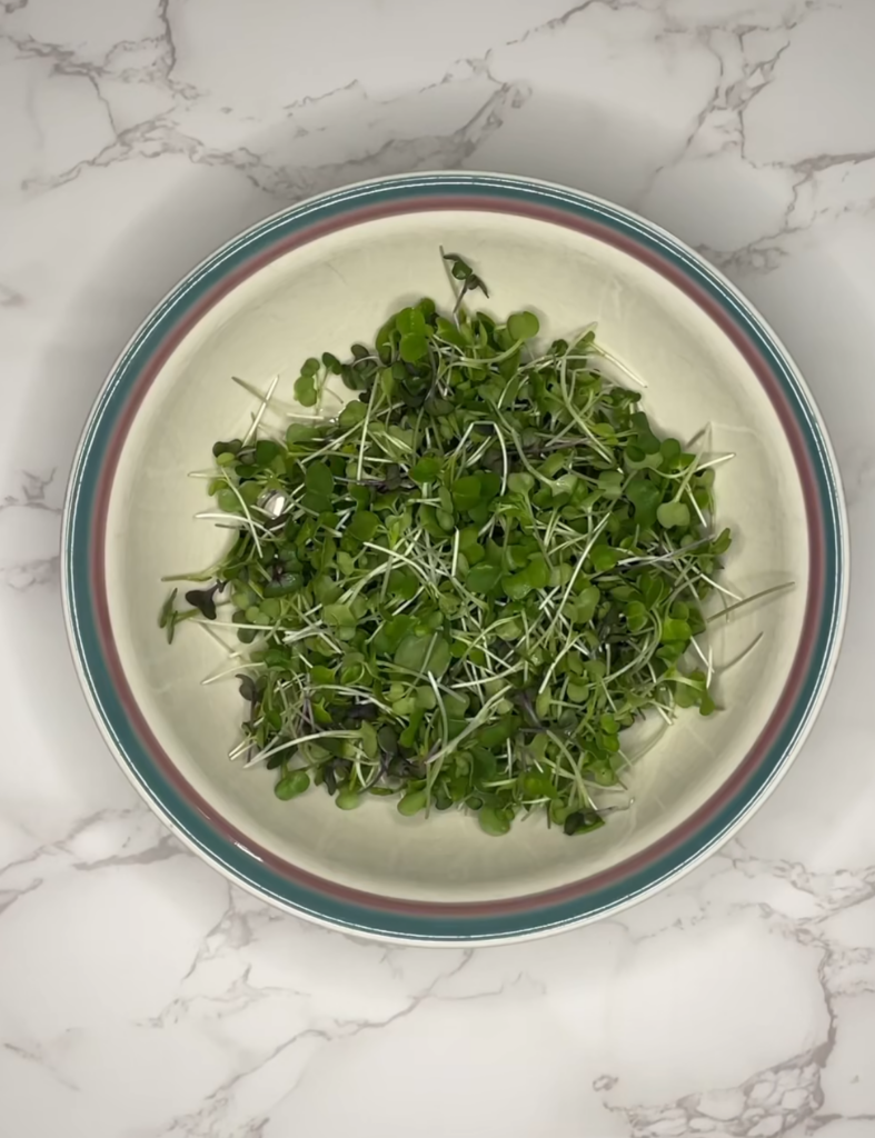 Ultimate Taste Experience: Acme Smoked Fish and AeroFarms